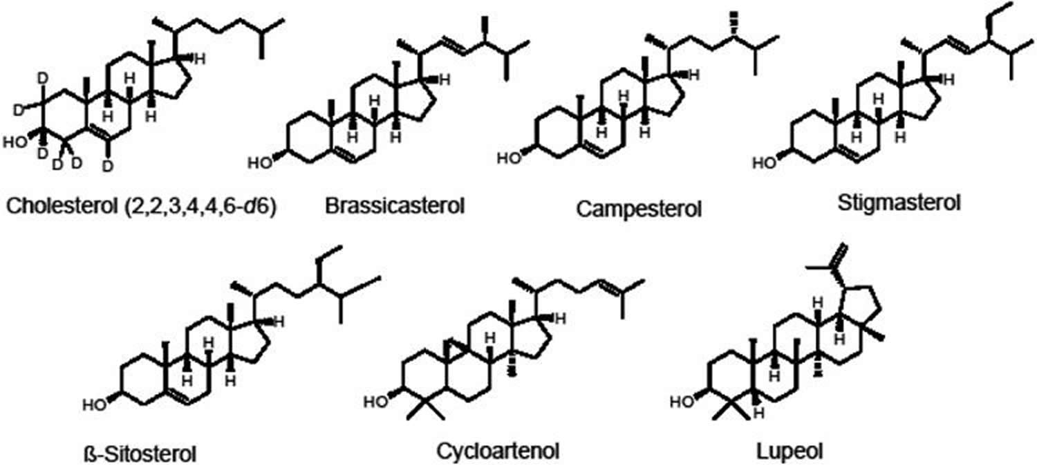 Phytosterols Foods Source Health Benefits Supplements