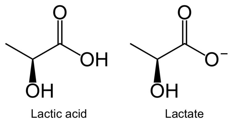 Lactic Acidosis Causes Symptoms Lactic Acidosis Treatment