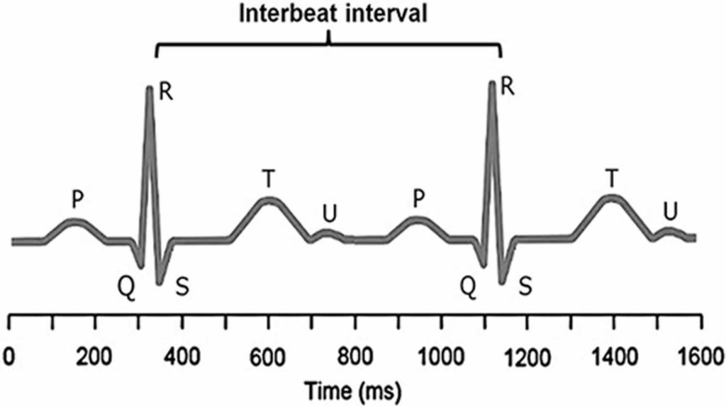Heart Rate Variability Definition Control Mechnisms And Measurement