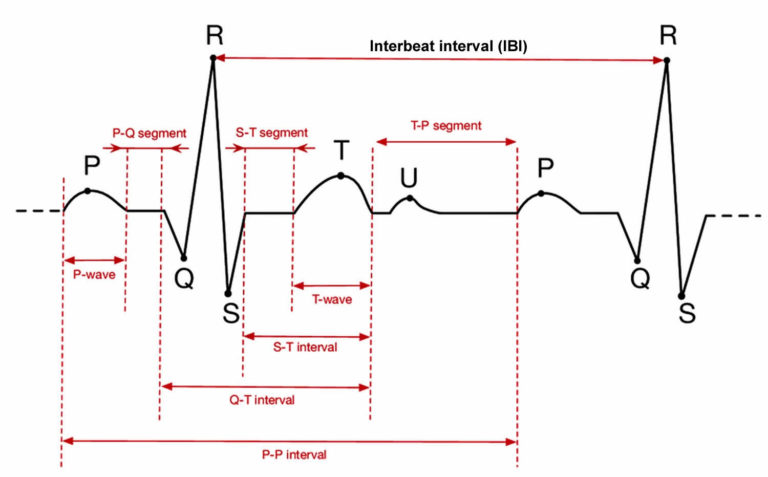 Heart Rate Variability Definition Control Mechnisms And Measurement