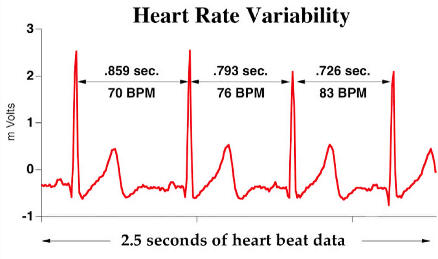Heart Rate Variability Definition Control Mechnisms Measurement