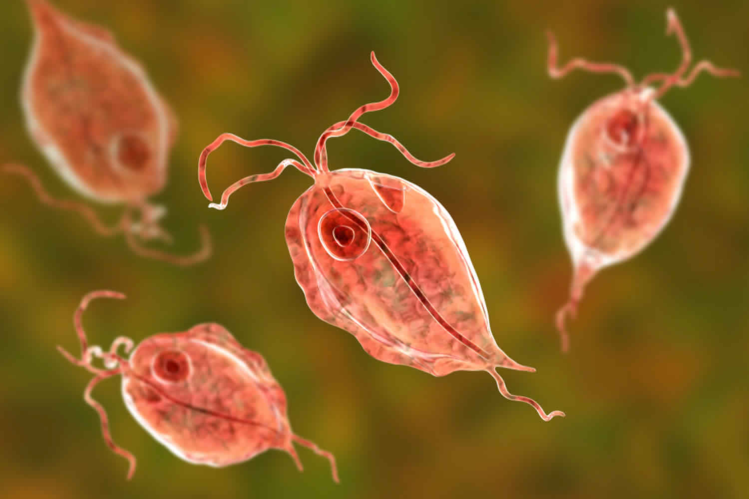 Strawberry Cervix Causes Symptoms Diagnosis Treatment