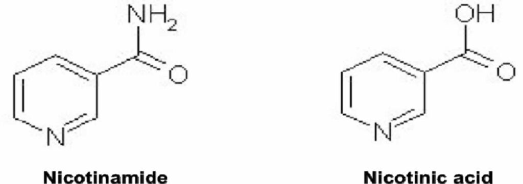 Nicotinic acid benefits, uses, food sources, supplements, dosage & side ... Nicotinic acid benefits, uses, food sources, supplements, dosage & side ...